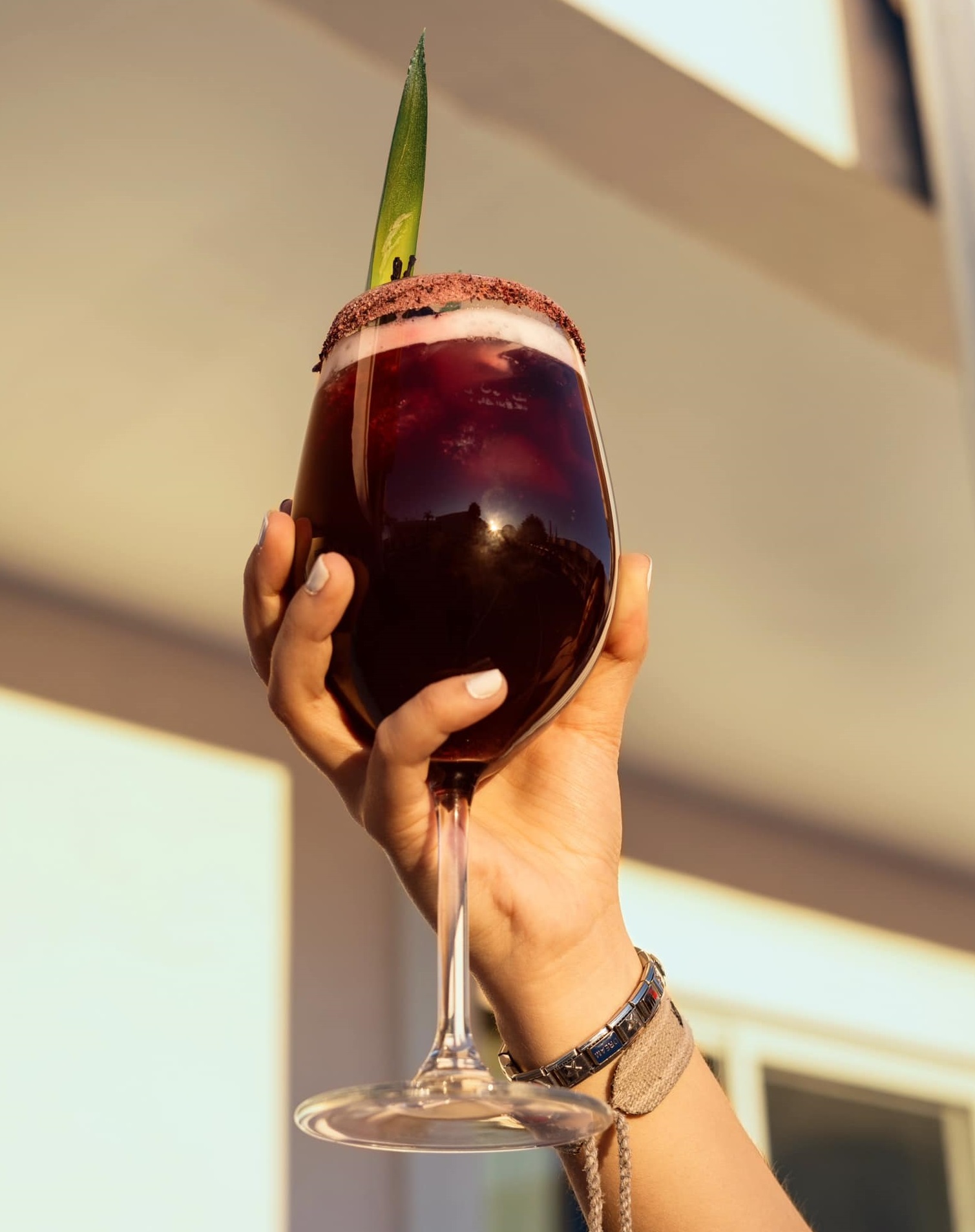 Servicios Adicionales - Hotel Santorian